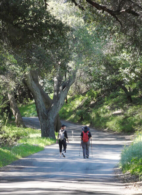 El Camino Real | California Mission Walkers